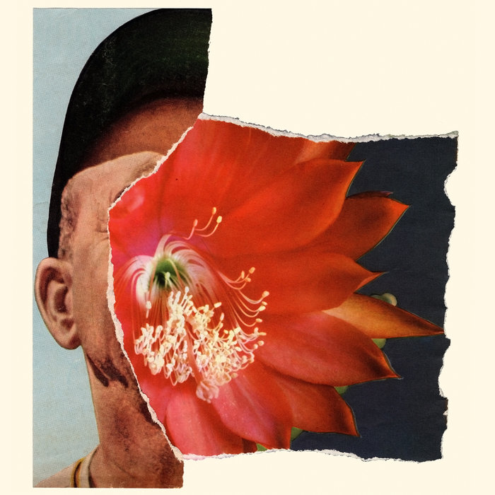 Chasms | Lisa Cameron, Alex Cunningham