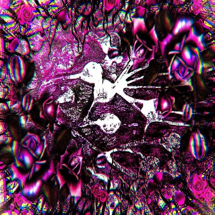 Roses In Reverie | Ceres Black