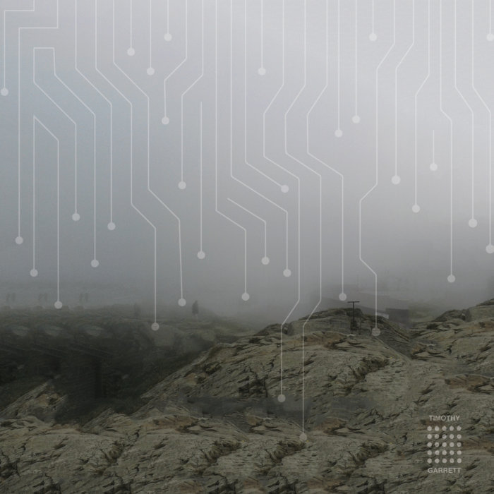 Divergent Paths | Timothy Garrett