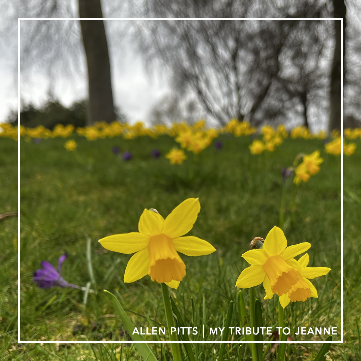 My Tribute to Jeanne (waag_rel158) | Allen Pitts | weareallghosts