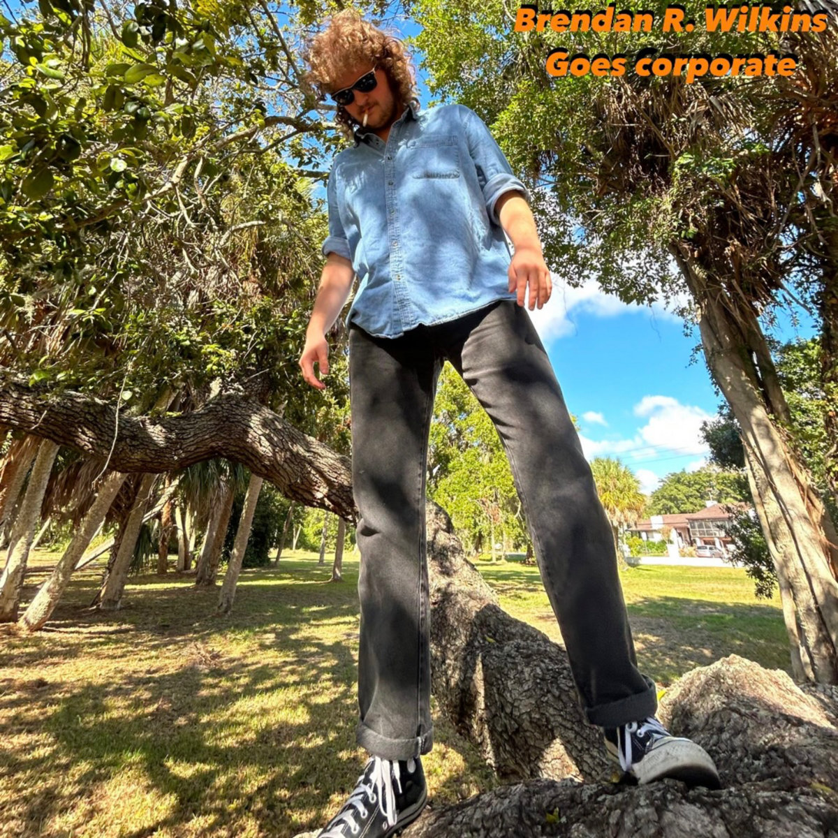 Brendan R. Wilkins Goes Corporate | Brendan R. Wilkins