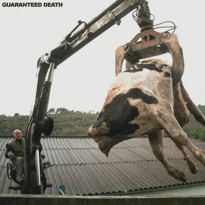 GUARANTEED DEATH | LAZAR HOUSE