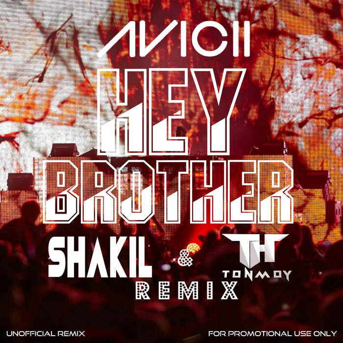 Hey Brother Avicii