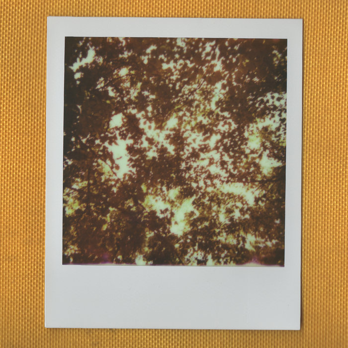 blue, the most celestial color | the northern information movement ...