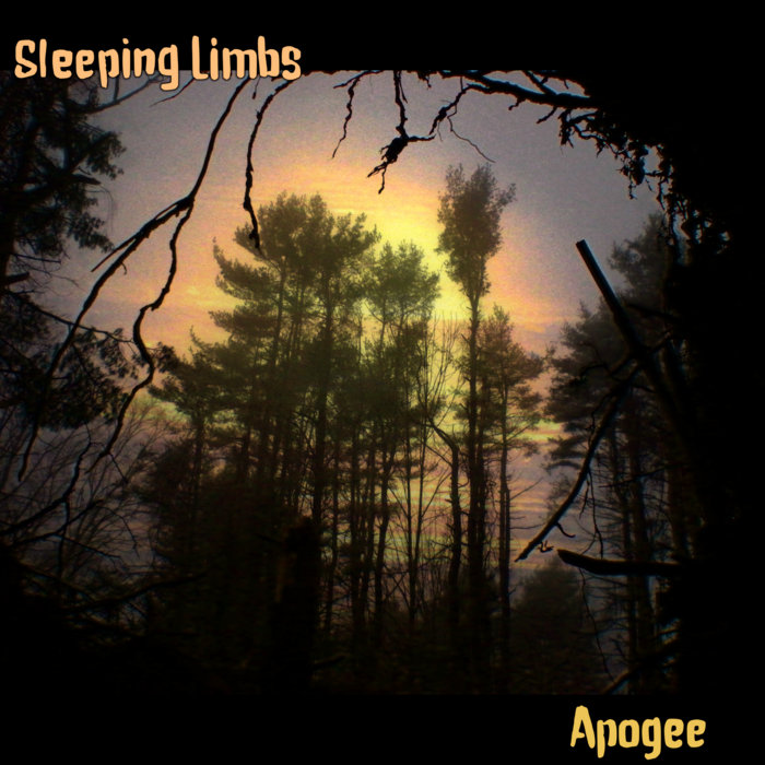 Apogee | Sleeping Limbs