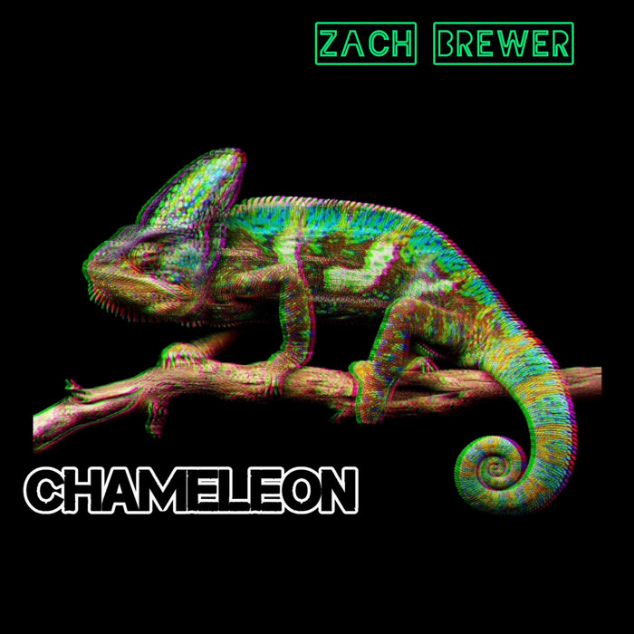 Chameleon | Zach Brewer