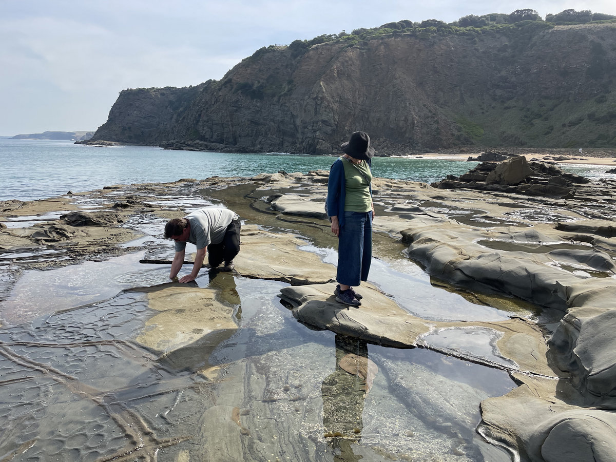 Lost In Plain Sight. | Peter Bodin