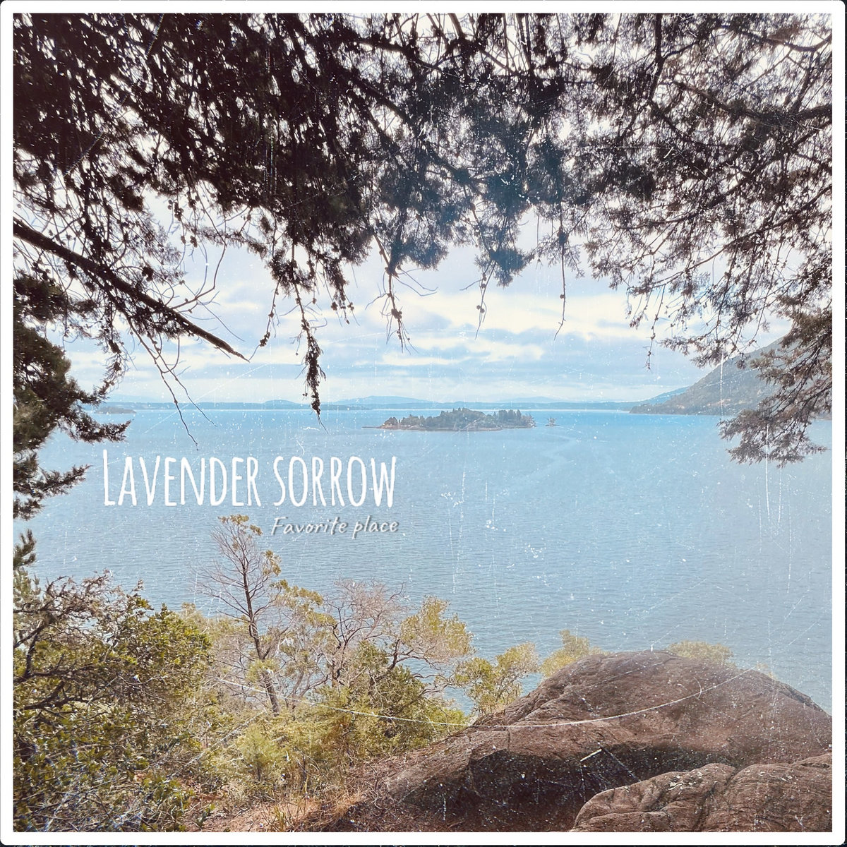 Favorite Place | Lavender sorrow