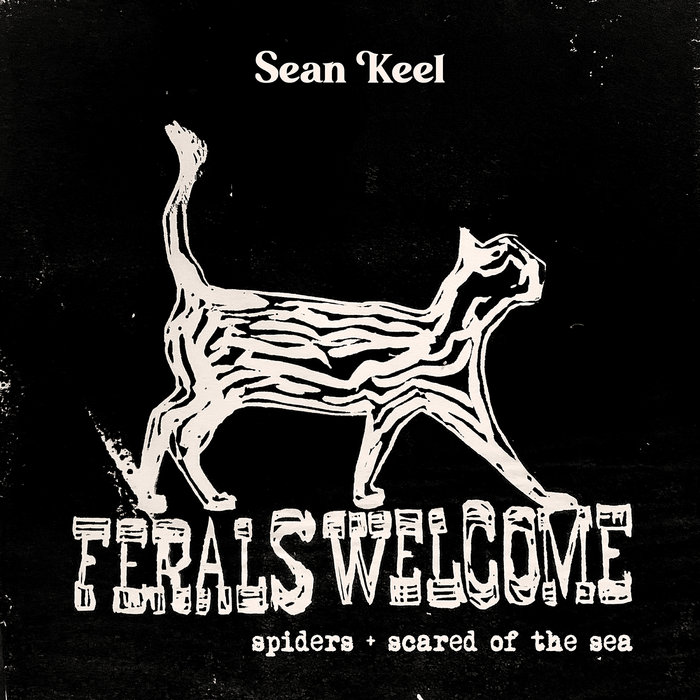 spiders | Sean Keel