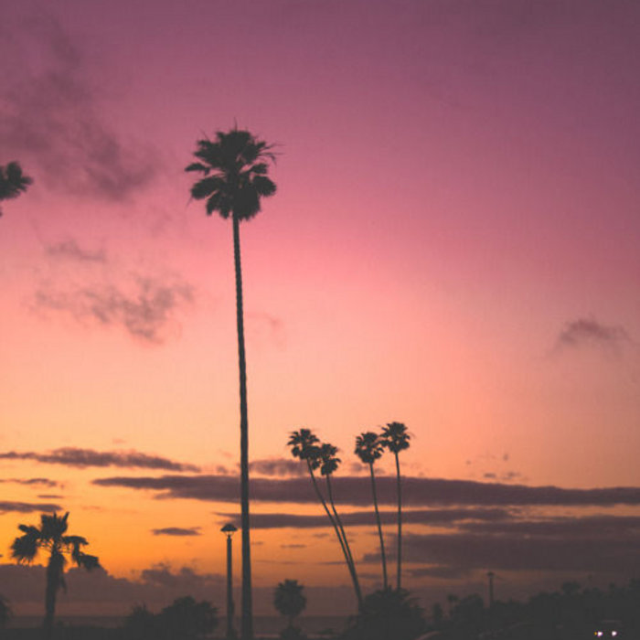 palm trees and codeine | lowbrow the hypnotic