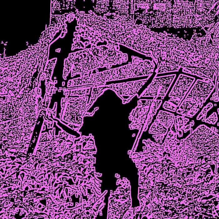 Total Madness | Dominance of Darkness Records