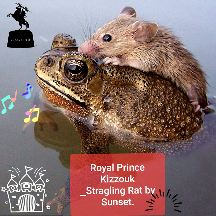 Straggling Rat | Royal Prince Kizzouk