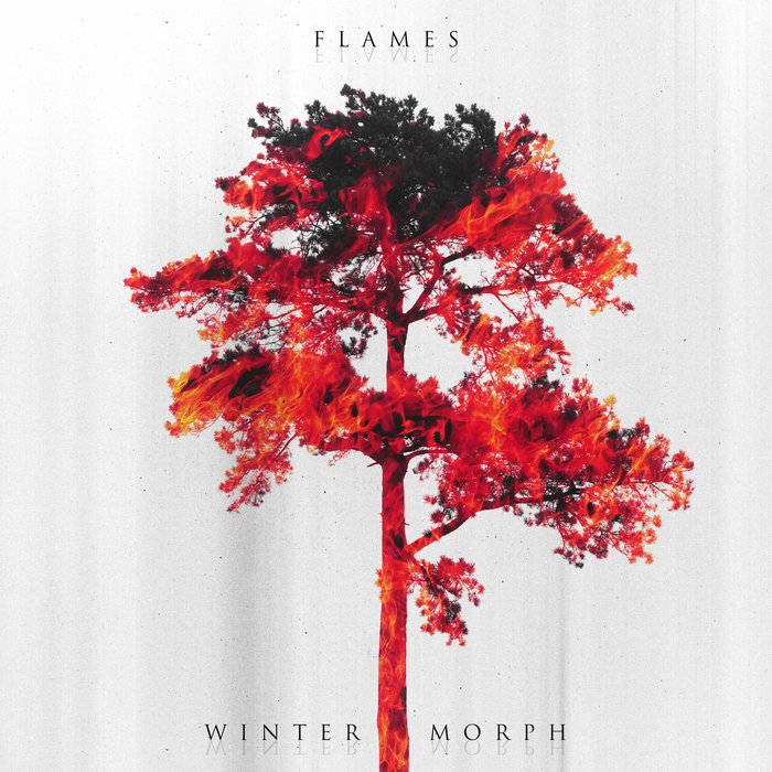 Flames | Wintermorph