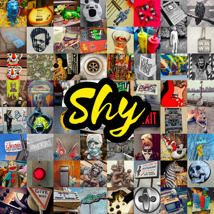 Shy | Post Traumatik