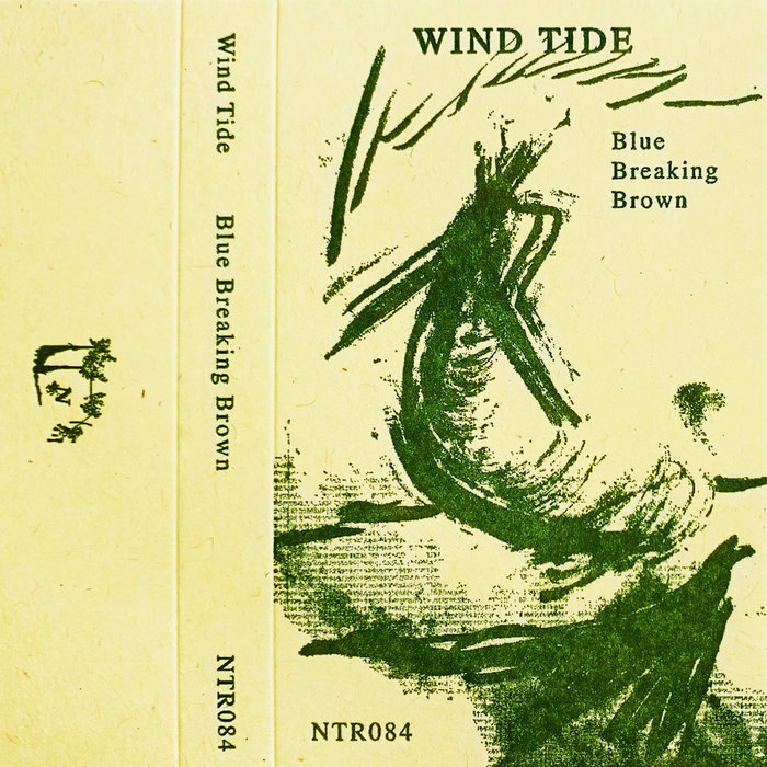 Blue Breaking Brown | Wind Tide