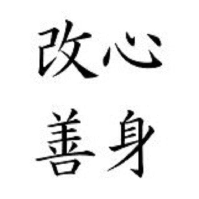 Shin Shin Kaizen | AlterEgo UK