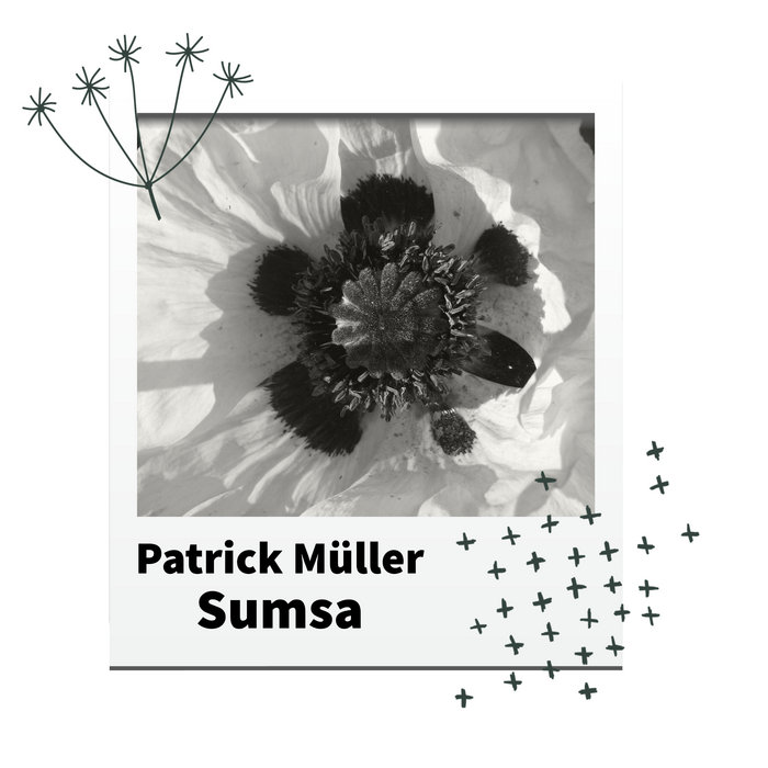Sumsa ( Original Mix ) | Patrick Müller | Hallucinogen Records