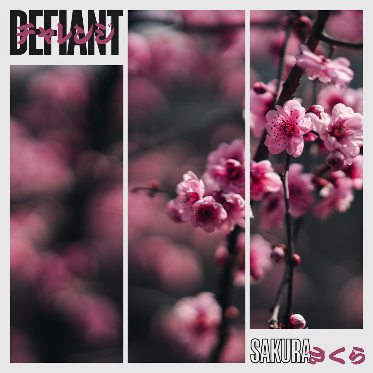 Sakura | DEFIANT