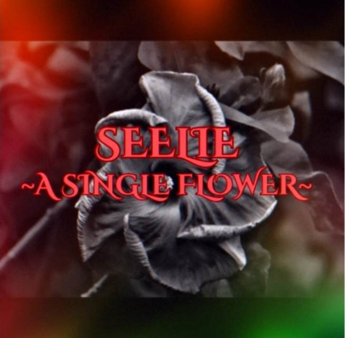 A Single Flower | Seelie