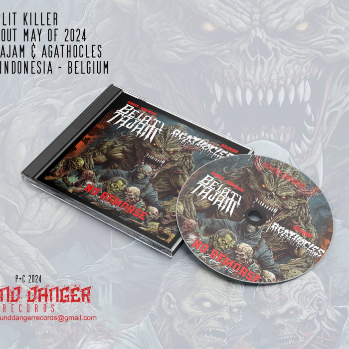 Agathocles - No remorse | Agathocles | Sound Danger Records