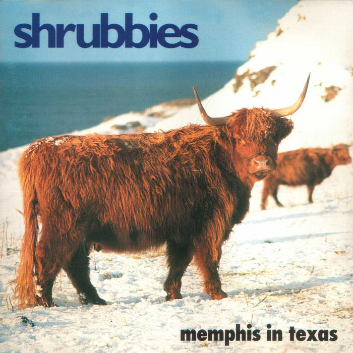 memphis in texas | Shrubbies