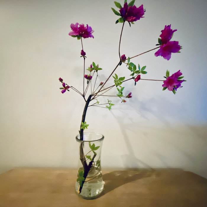 Covers Vol. 5 | Brian Medlin