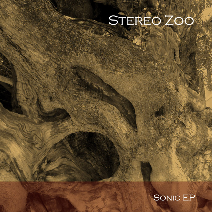 Sonic EP | Stereo Zoo