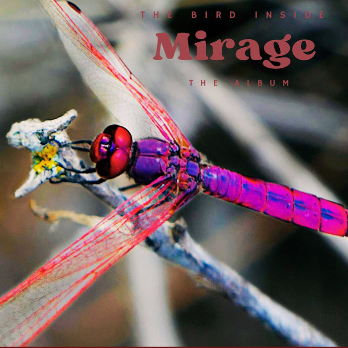 Mirage | The Bird Inside