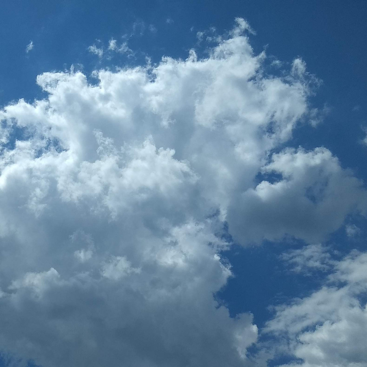 Skylight | Moonlight Lake