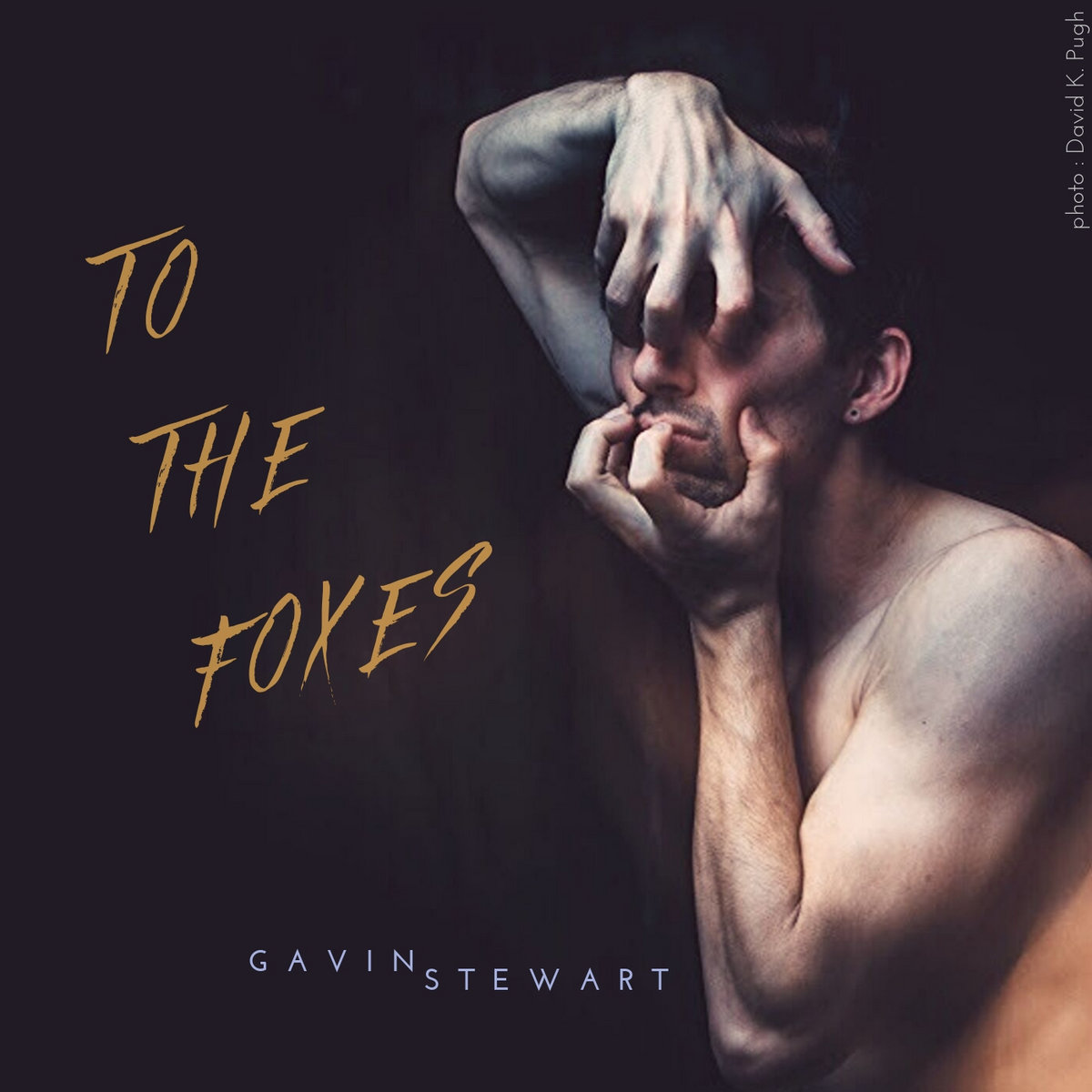 To the Foxes | Gavin Stewart