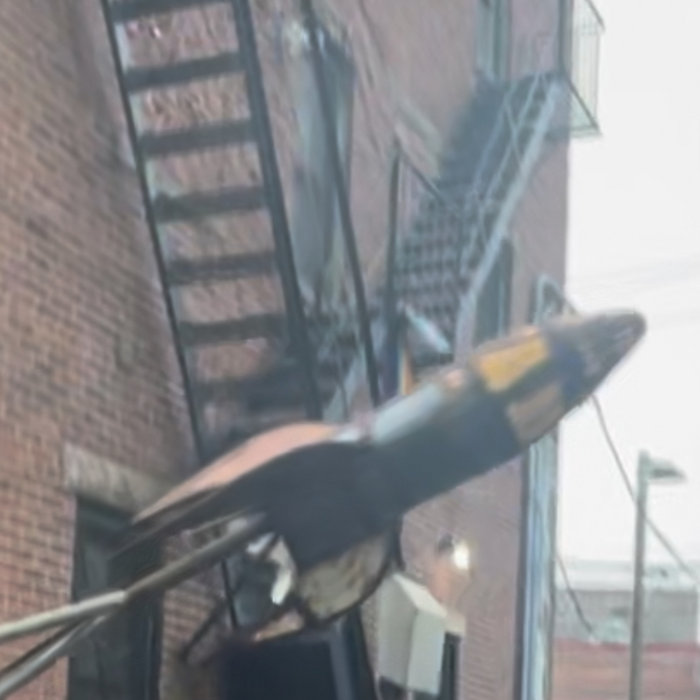 Flying Away | Flowery Speech