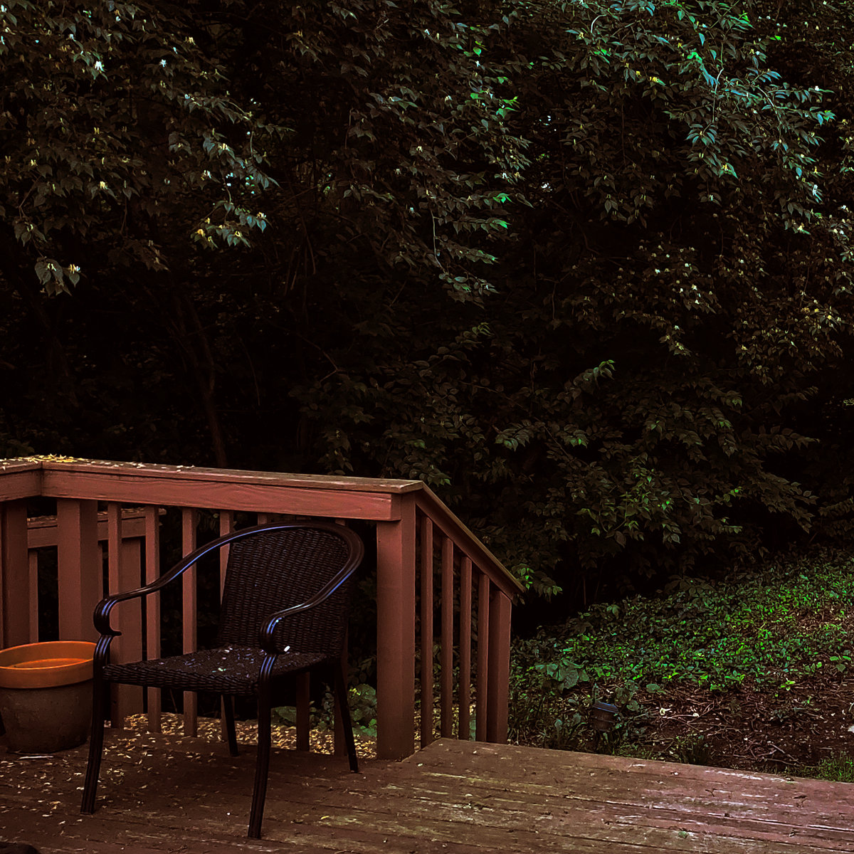 Retraced Paths | Milieu