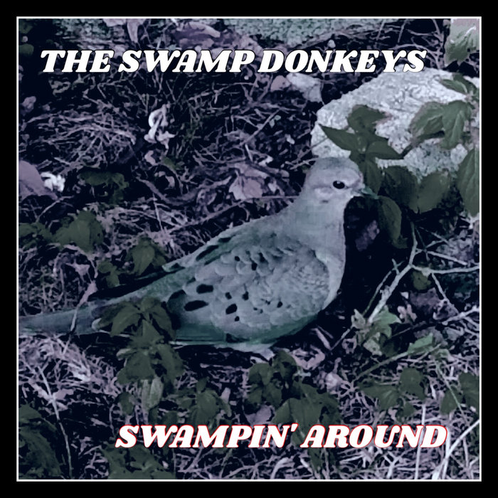 Swampin' Around | THE SWAMP DONKEYS