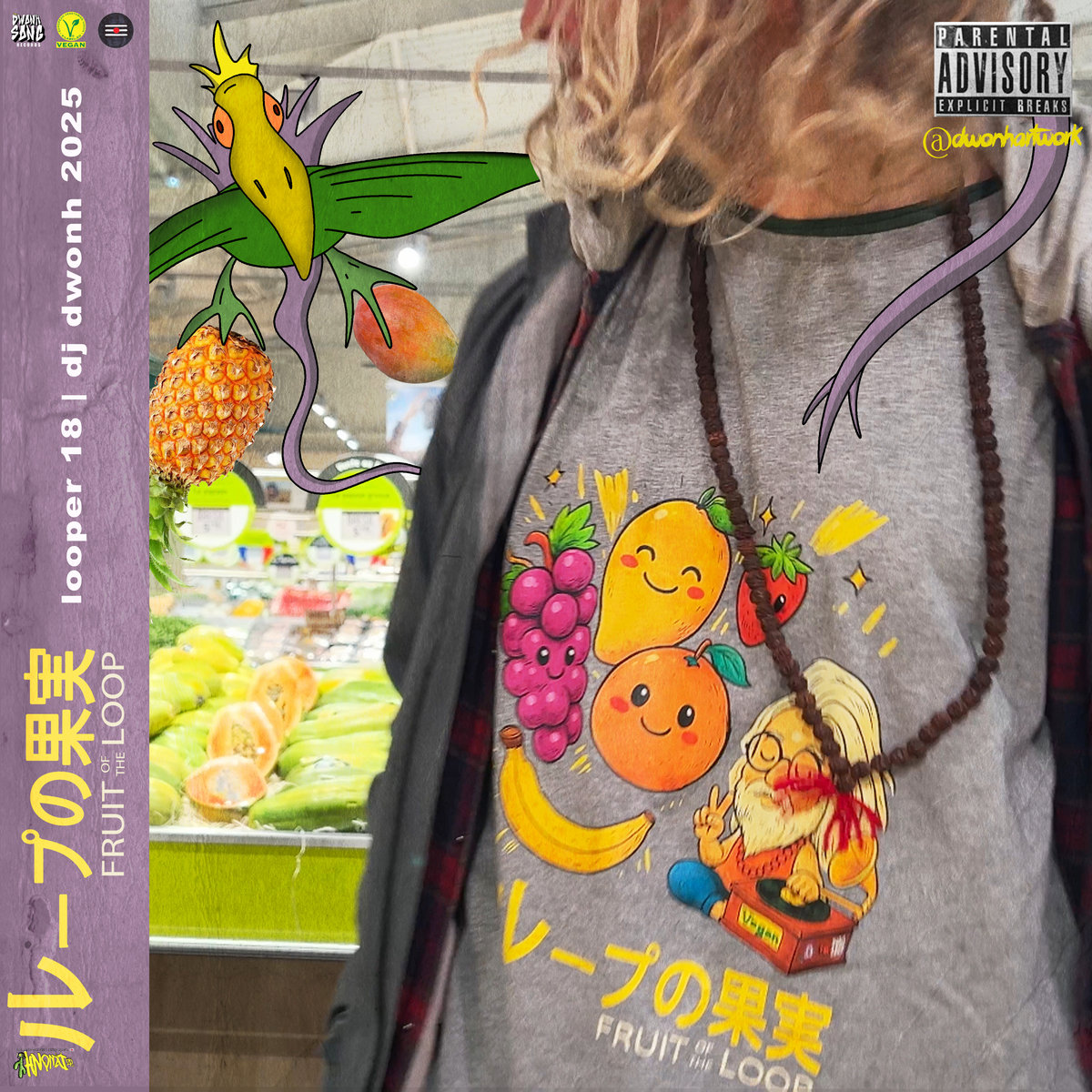 FRUIT OF THE LOOP looper 18 | dj dwonh 2025 | dj dwonh