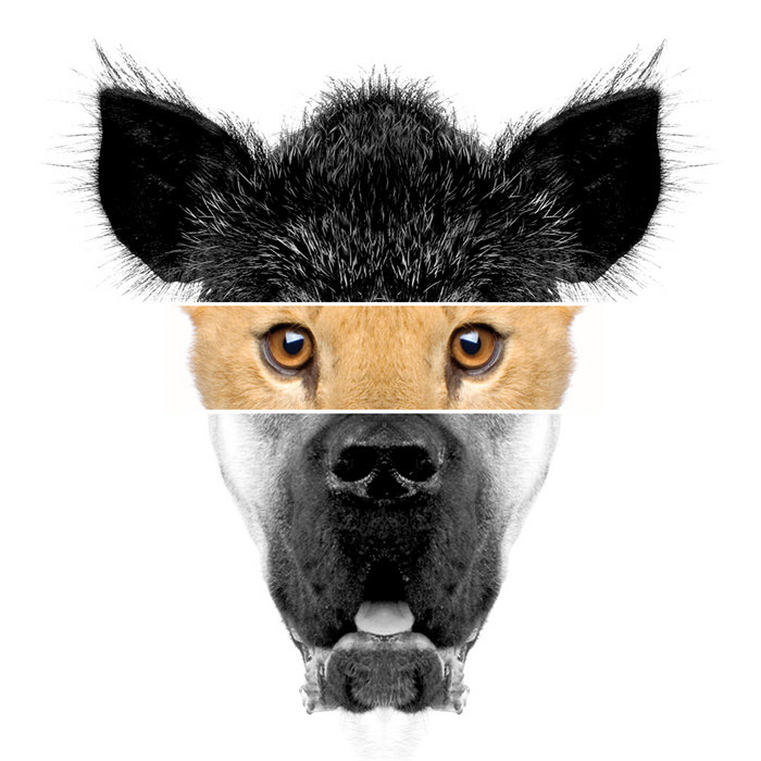 Even Your Friend | The Chap