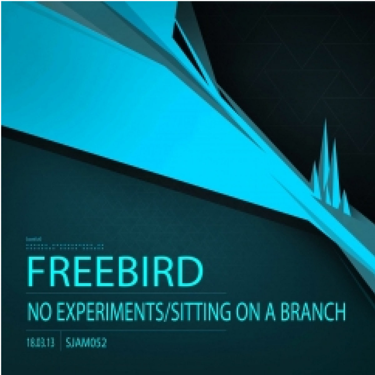 No Experiments EP [StoreJam] | FreeBird feat. Màluàdé | FreeBird DnB