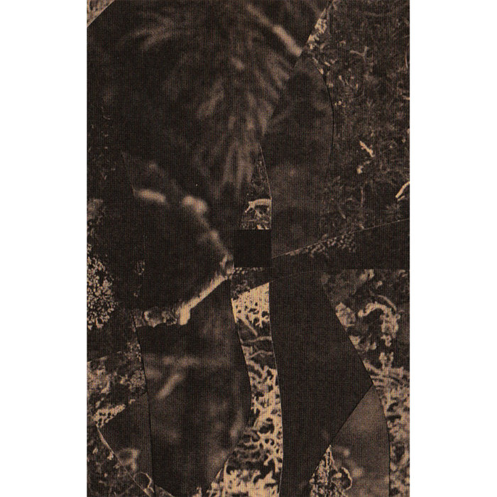 Fields | Mike Majkowski | Audio. Visuals. Atmosphere.