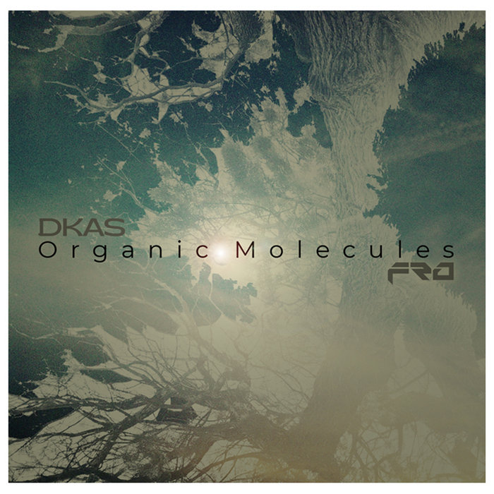 Organic Molecules | DKas