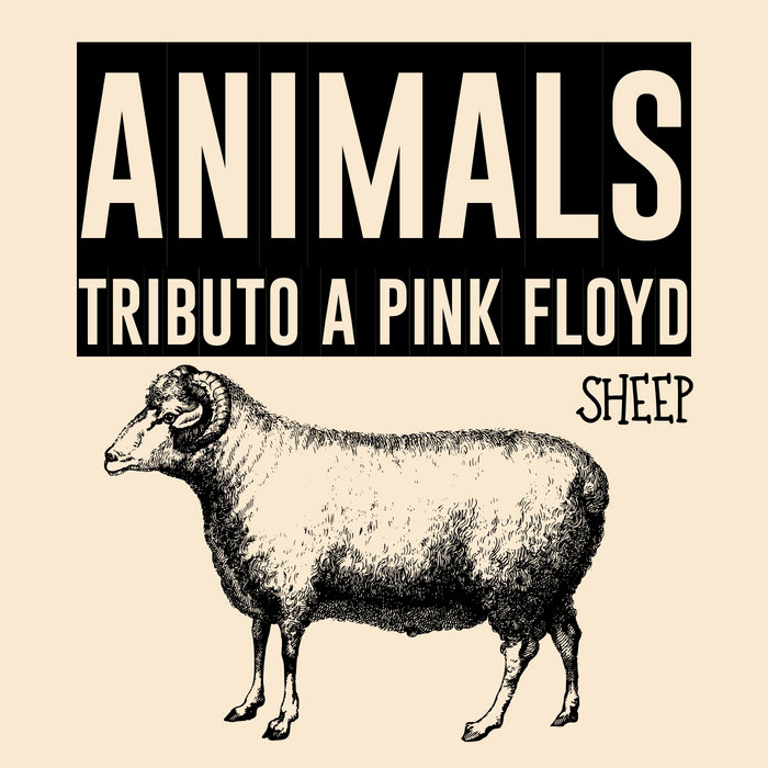 SHEEP | Animals Pink Floyd Tribute | Animals