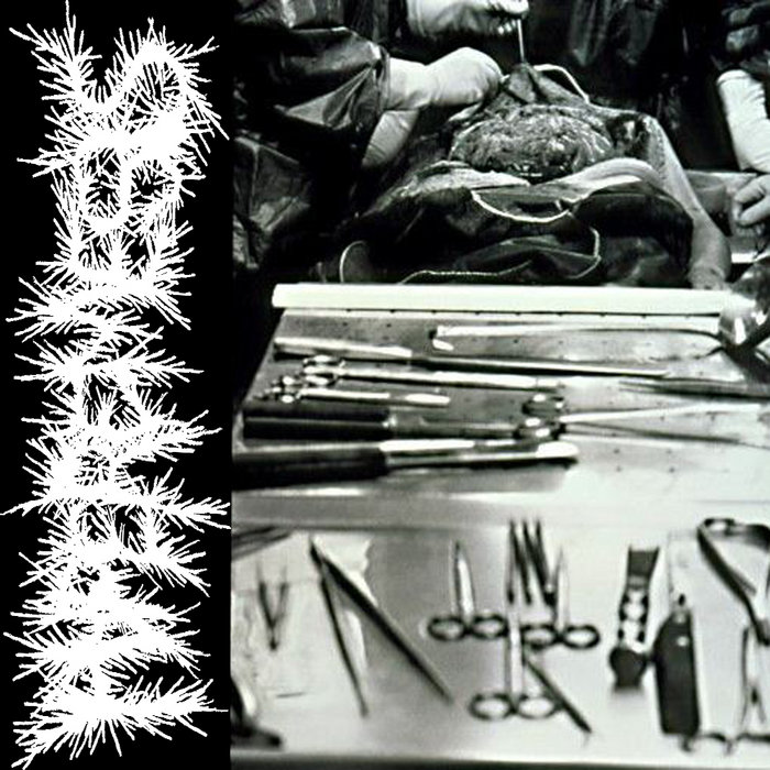 SPLIT 6" WITH CLUNGE | HYPEREMESIS