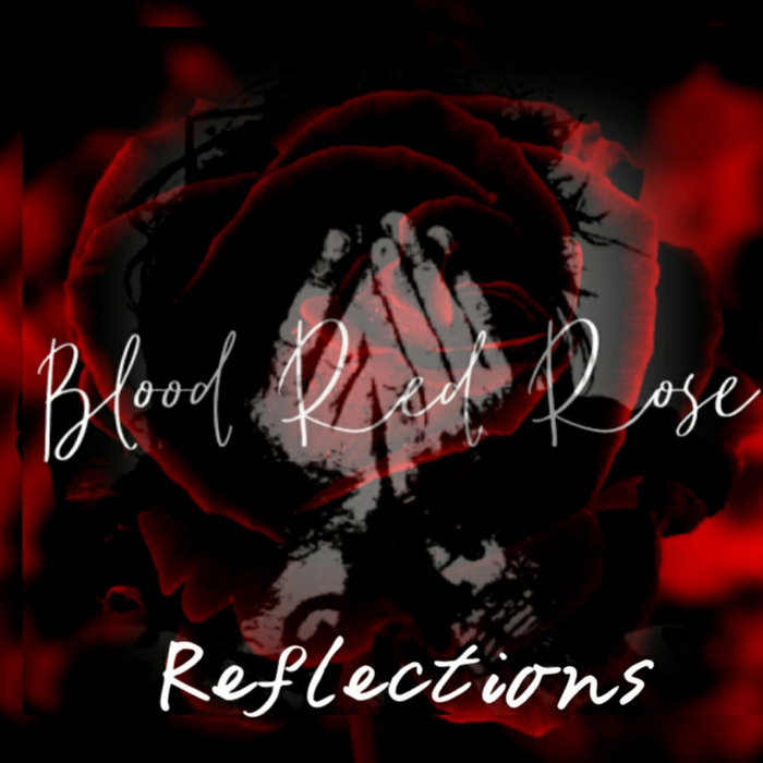 Reflections | Blood Red Rose