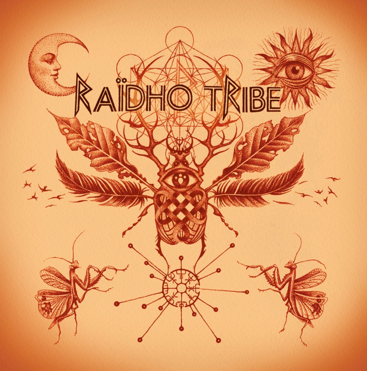 Raïdho Tribe | Raïdho Tribe