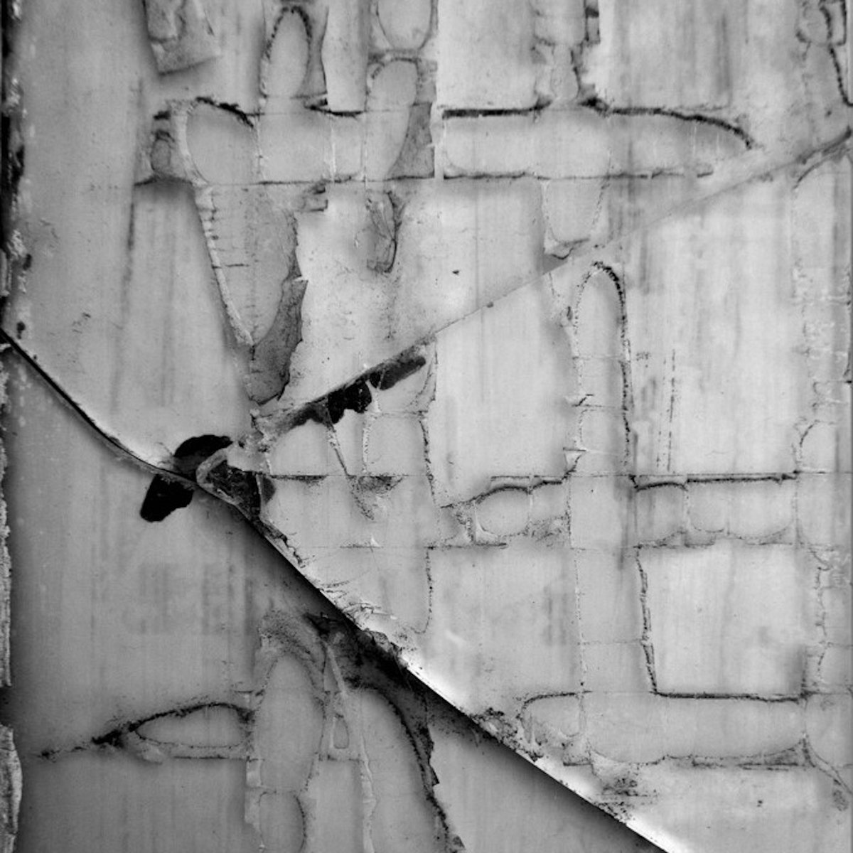 Atáxia | Nic Mercer