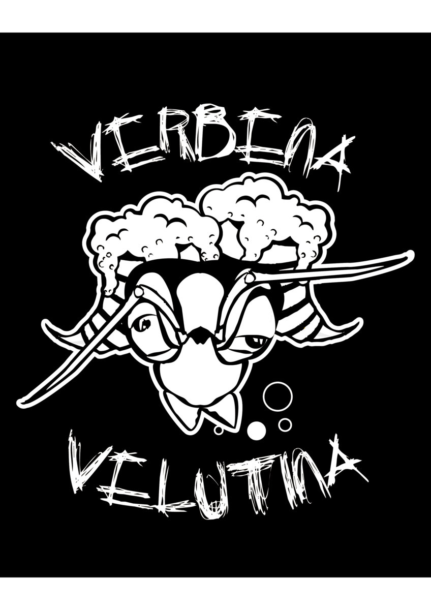 Verbena Velutina - Concerto Akelarre Punk CSA Casa do Peixe de Sar ...