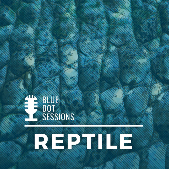Reptile | Blue Dot Sessions