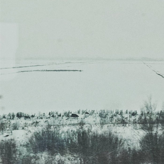 Endless Show Field | Goose Loop