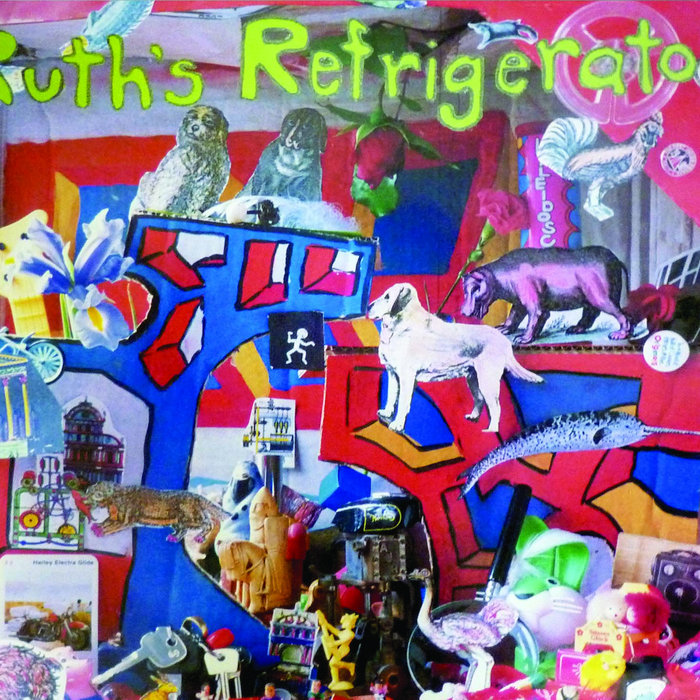 A Lizard is a Submarine on Grass | Ruth's Refrigerator | Alan Jenkins