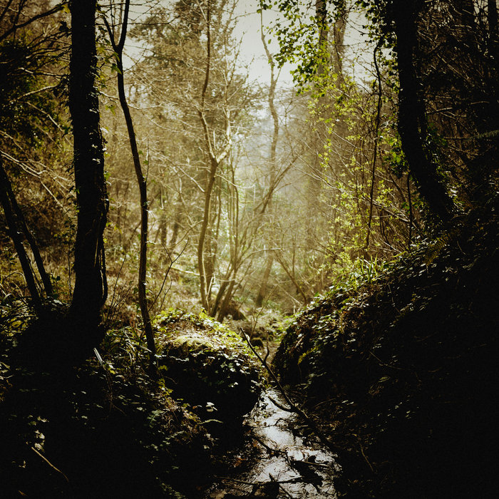 The Dripping Well | Son Clair