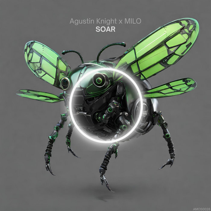 SOAR (Original Mix) | Agustin Knight, MILO | Agustin Knight