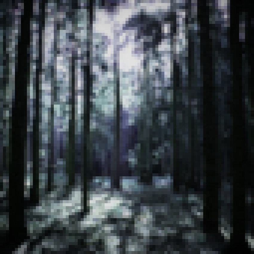 In a Dark 8-bit Forest - Single | Fukurō | Canvas Records
